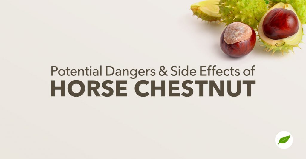 How to Identify & Avoid Horse Chestnut Edible Dangers