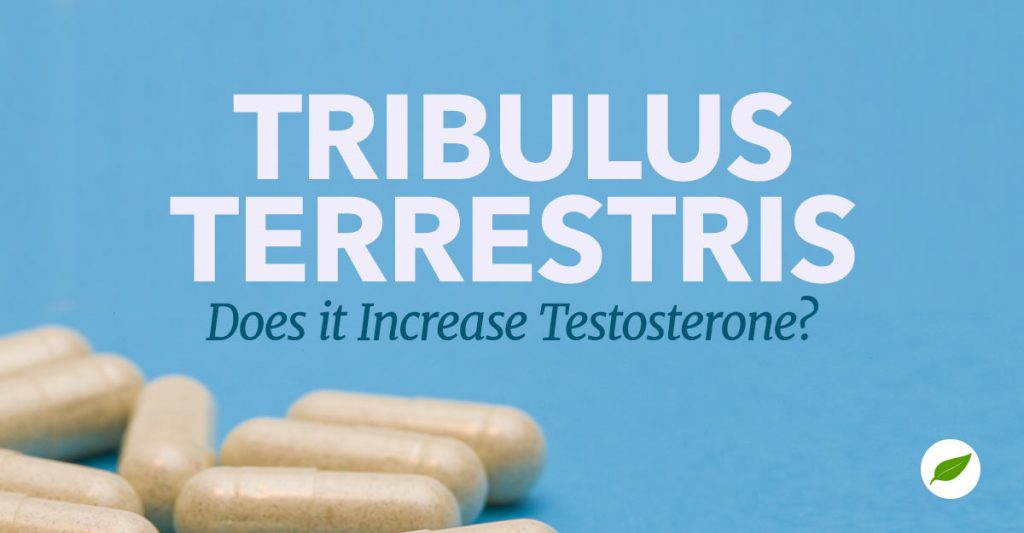 Do Tribulus Terrestris Benefits Include Testosterone Support? - NHC