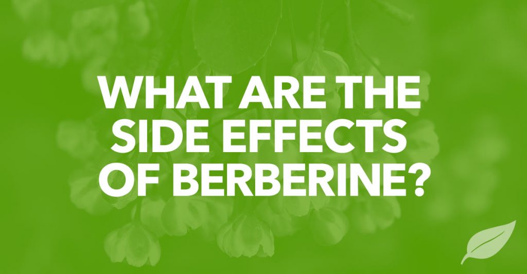 Are There Side Effects of Berberine?