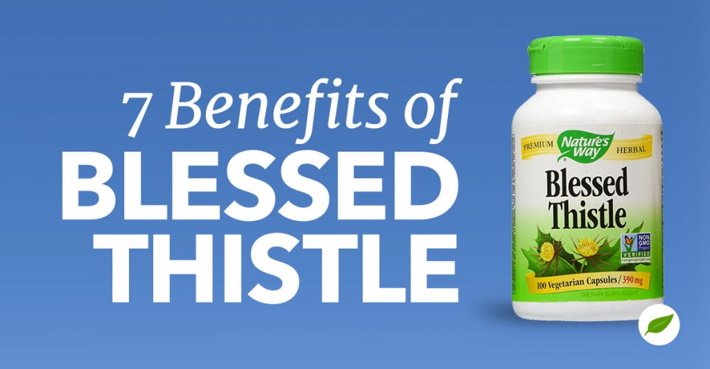 Try These 7 Blessed Thistle Benefits for Your Health