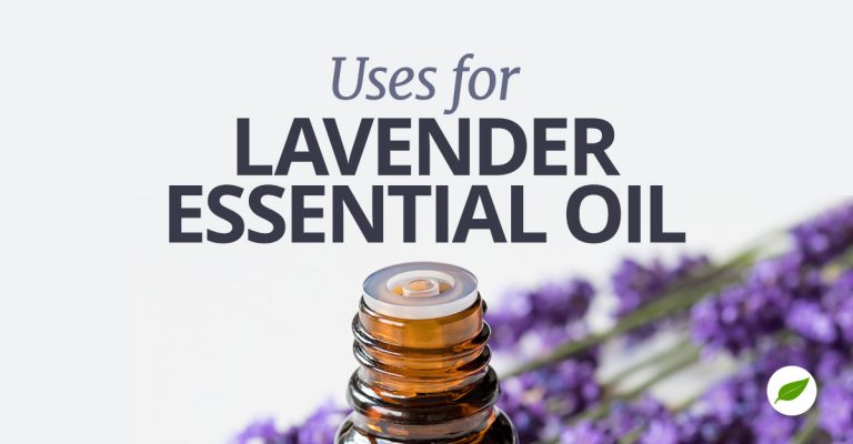 8 Practical and Easy Uses for Lavender Essential Oils - NHC