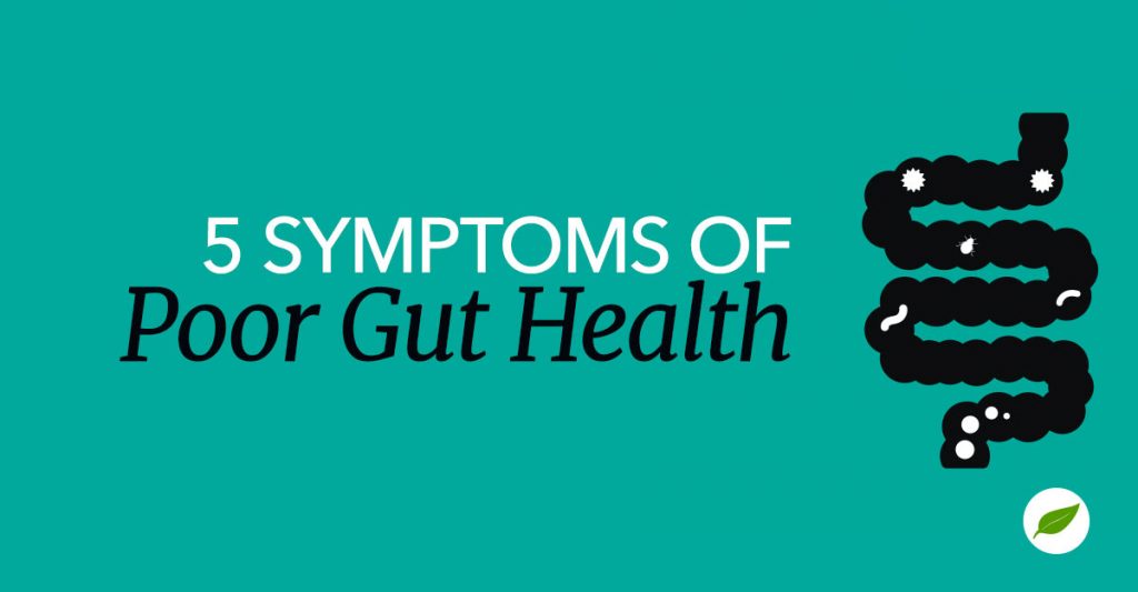 5 Symptoms Resulting From Poor Gut Health - Healthy Concepts with a ...